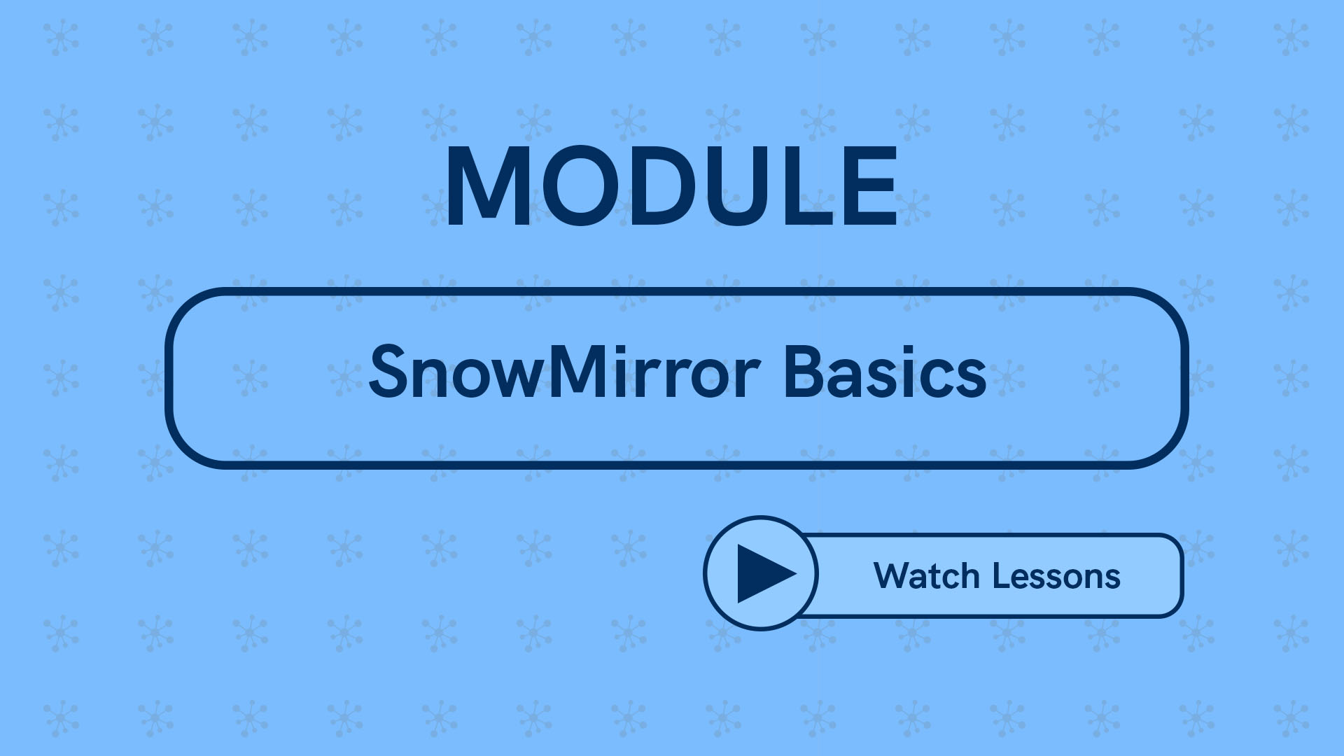 SnowMirror Basics
