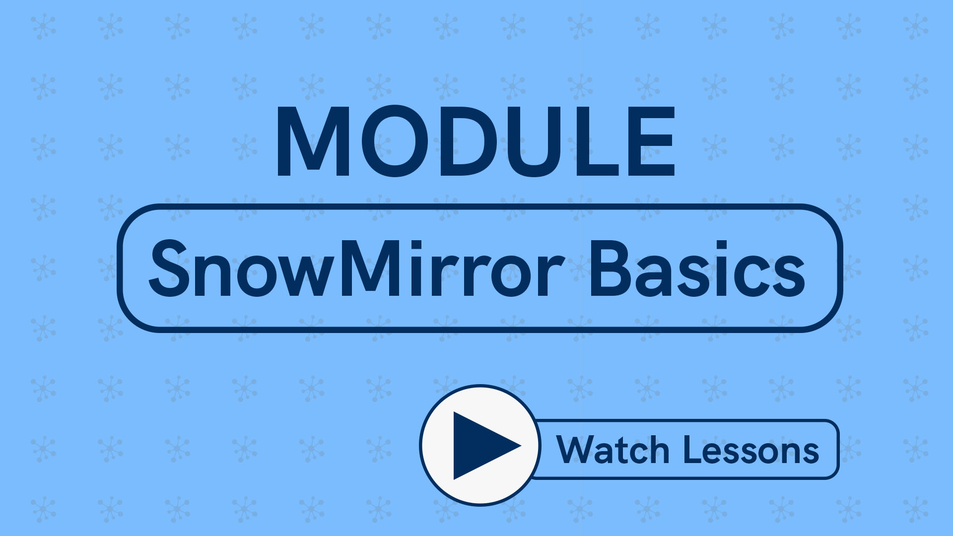Module SnowMirror Basics - SnowMirror